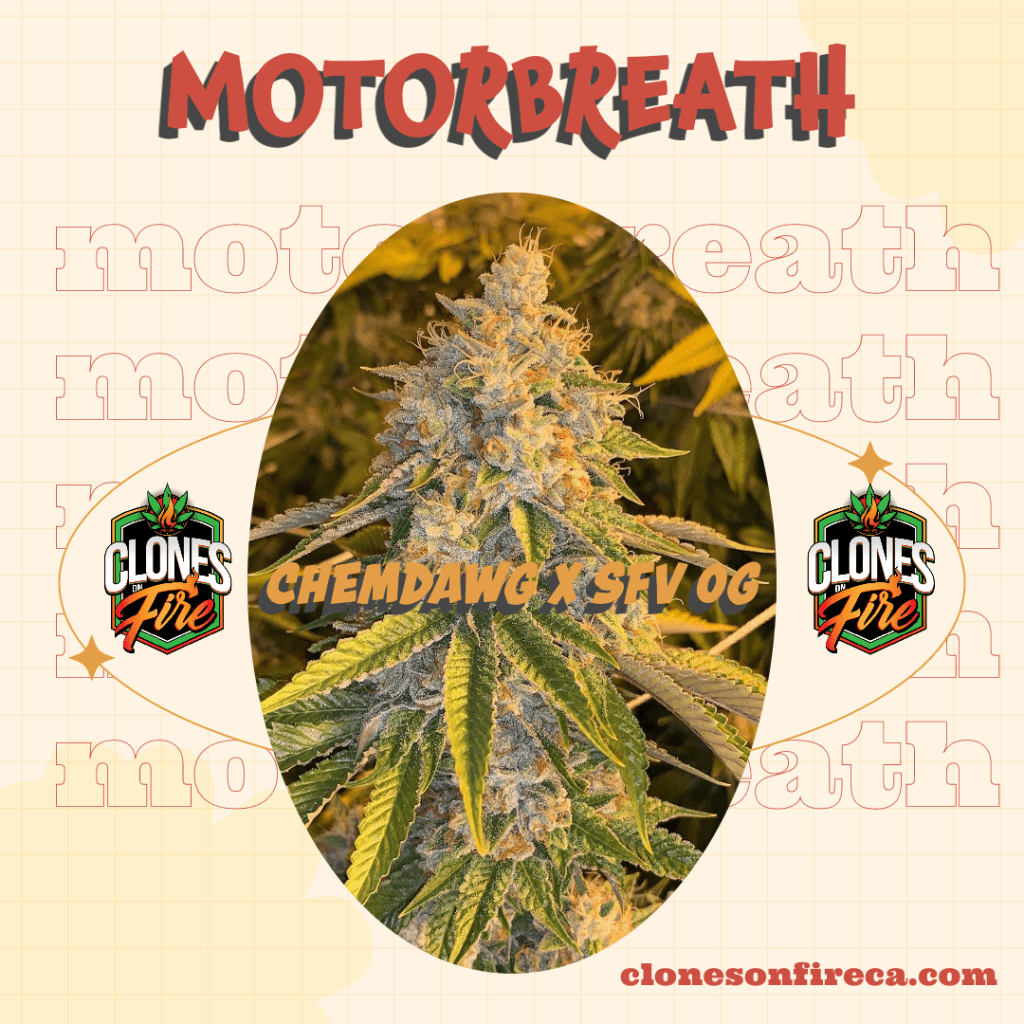 Motorbreath Clones - Clones On Fire