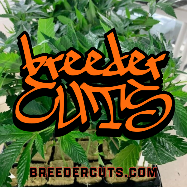 Home - Clones On Fire