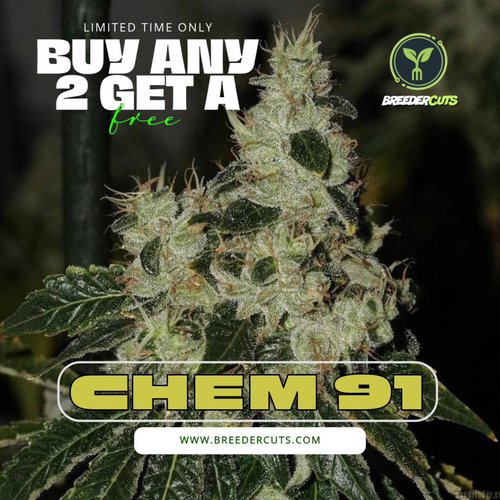 Home - Clones On Fire